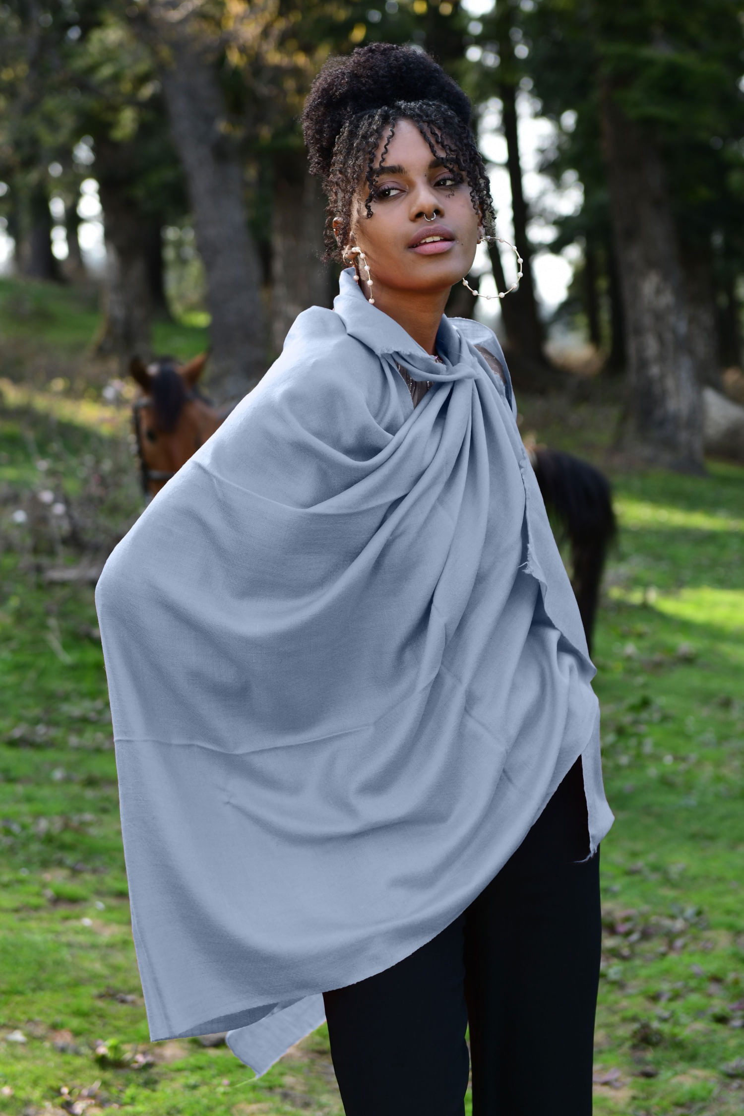 Powder Blue Pashmina Shawl | Original Pashmina Shawls